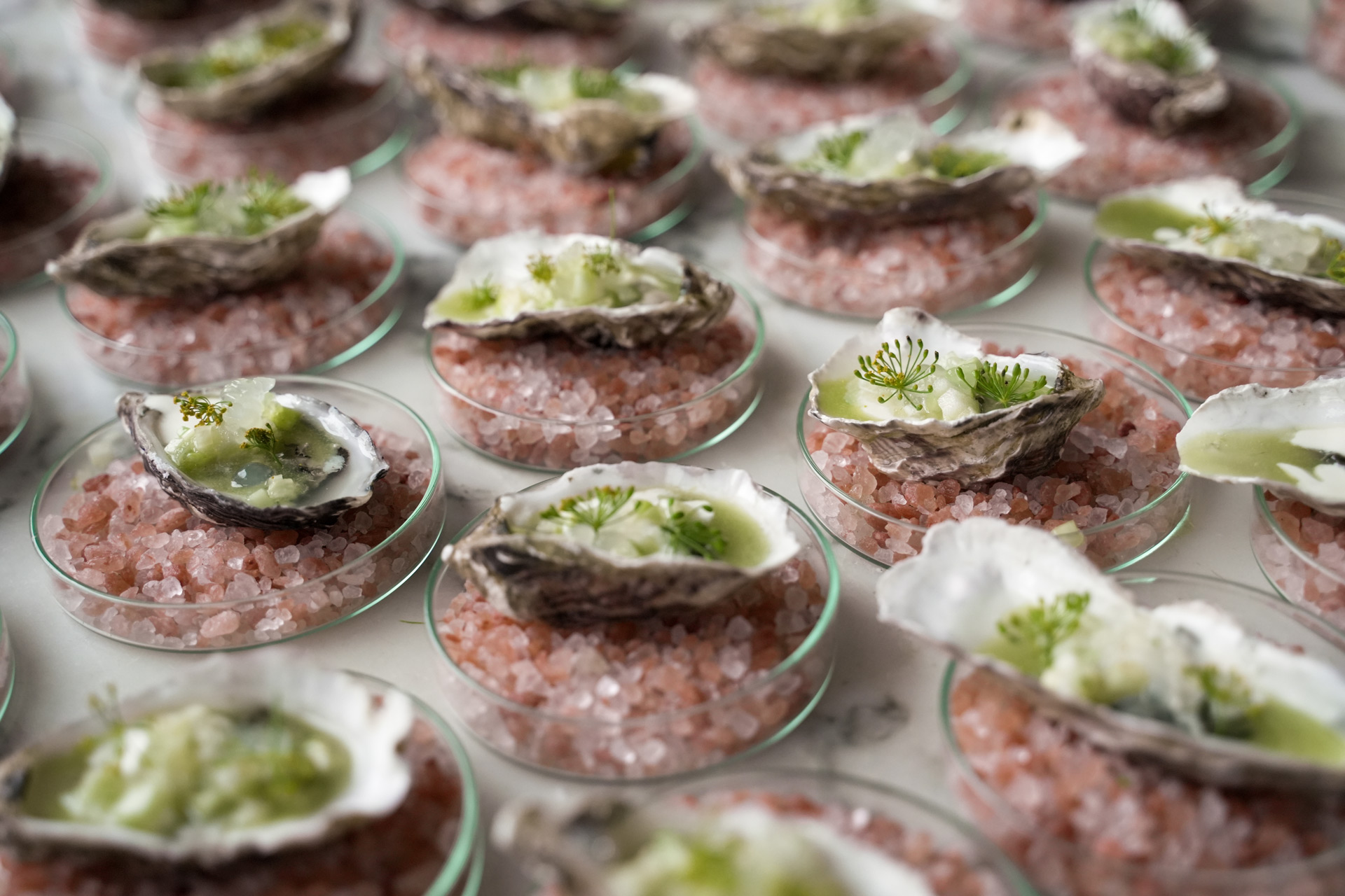 Entdecken Sie unsere Á la carte Speisekarte im Port Victoria Neuss